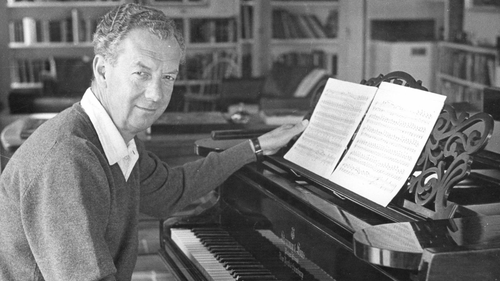 Por qué Britten desechó a su perro solitario - Cat And Dog Tank