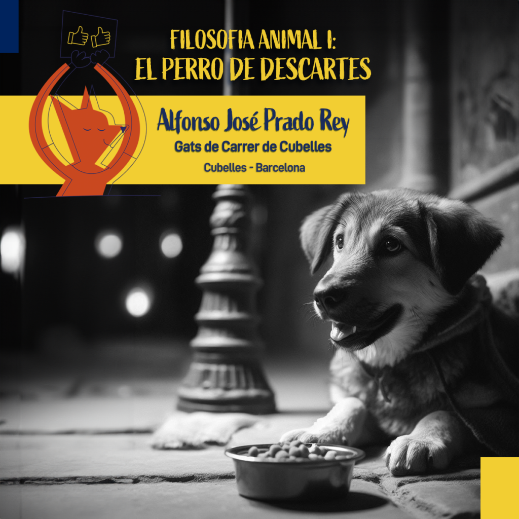 Filosofía animal I: El perro de Descartes - Cat And Dog Tank